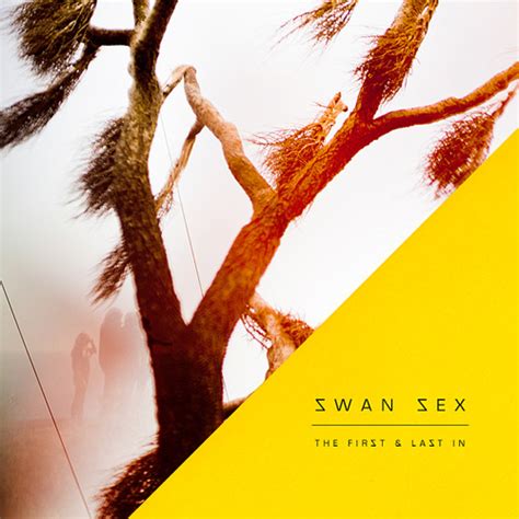 Stream Swan Sex The First Last In By Random Bastards Listen Online For Free On Soundcloud