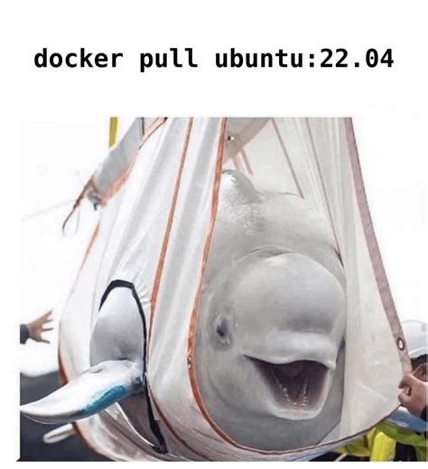 Docker Pull R Linuxmasterrace