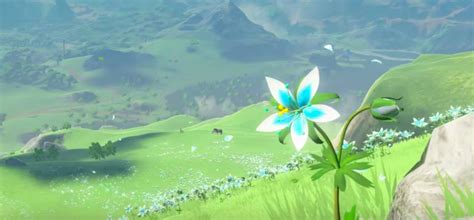 Part 2 The Majesty Of Memory—a Devotional For The Legend Of Zelda