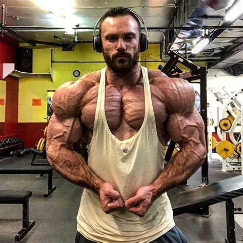 Muscle On Twitter Https T Co Oiaohpc Aj Twitter