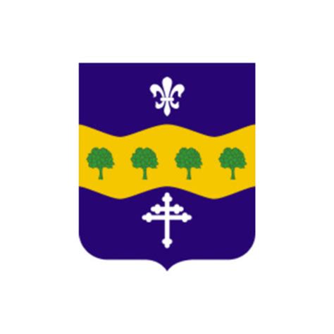 315th Us Army Infantry Regiment Patch