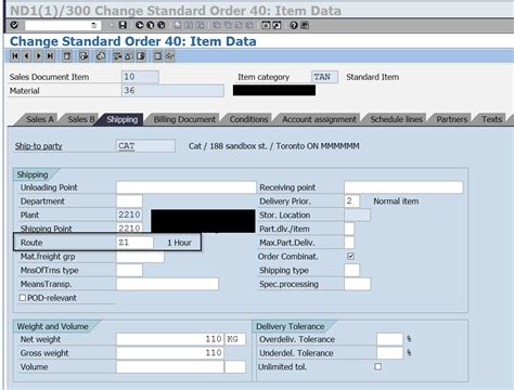 Solved Calculation Of Goods Issue Date In Sales Order Wit Sap Community