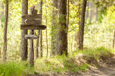 Dispelling The Myths Of Marketing Automation Migrations Relationship One