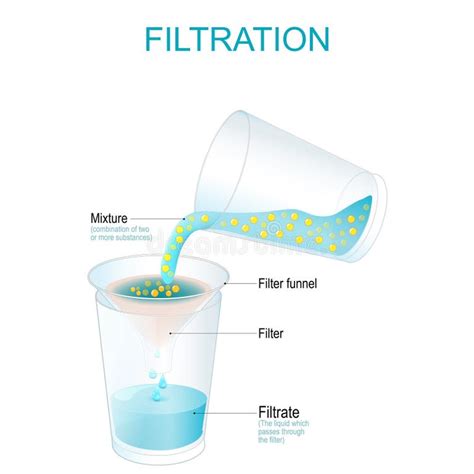 Chemistry Filtration Process Stock Illustrations 261 Chemistry