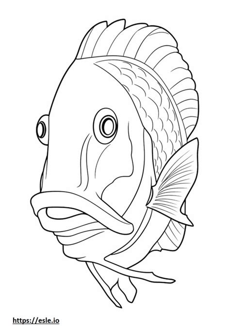 Xiphactinus Coloring Pages Free Printable