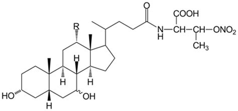 The Structure Of Udca Thr No A Novel Livertargeted No Donor Having No