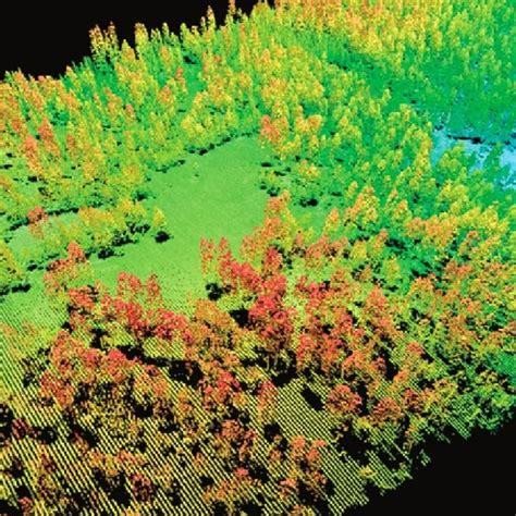 PDF Mapping Forests With Lidar Provides Flexible Accurate Data With Many Uses