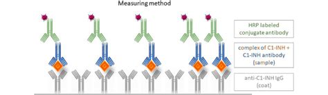 Measuring Method For The C1 Inh C1 Inh Antibody Complexes Download