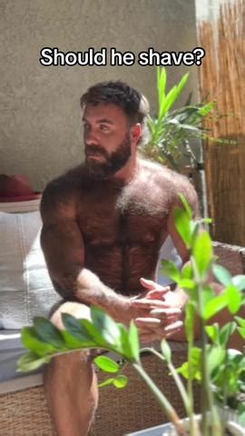 Mr Teddy Bear Mrteddybeargrr Tiktok