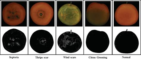 Defects Segmentation Results Achieved Using Adaptive Thresholding Download Scientific Diagram