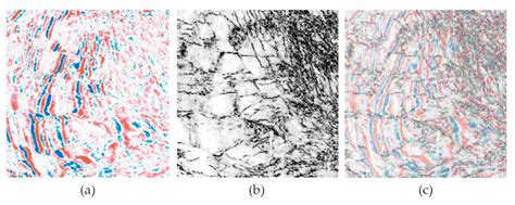 adding the coherence dimension to 3d seismic data cseg recorder