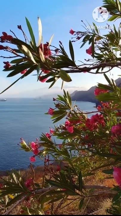 Bosonter Prem Romantic Kobita Bangla Kobita Abriti Bangla Poem