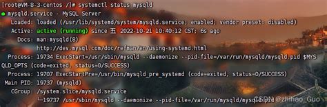 Systemctl Status Rvice或者systemctl Start Mysqld 启动失败的解决办法 灰信网