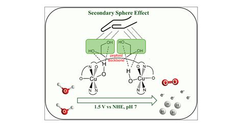 Biomimetic Second Coordination Sphere Effect Within Cu Peptoid Electrocatalyst Enables
