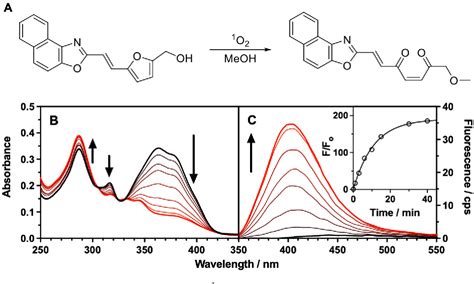 Figure 3 From Nanofn10 A High Contrast Turn On Fluorescence Nanoprobe For Multiphoton Singlet