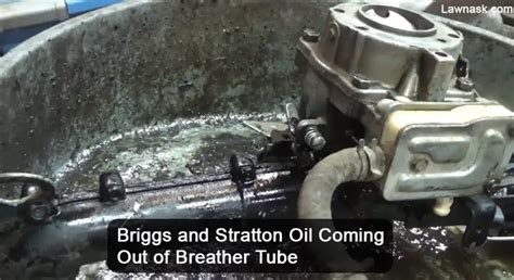 Briggs and Stratton Oil Coming Out of Breather Tube: What to Do? - LawnAsk