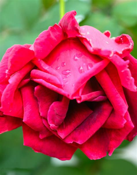 Avner Ben Zvi Photography