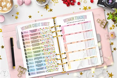 Editable Vitamin Tracker Printable Vitamin Cheat Sheet Etsy