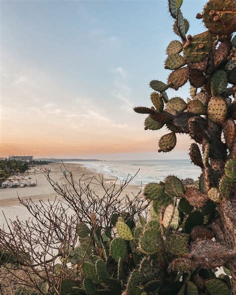 Puerto Escondido Beaches Ultimate Guide To Mexicos Best Beach Town