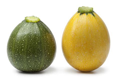 Was ist Rondini, was ist das? Fruchtgemüse: Definition, Warenkunde ...
