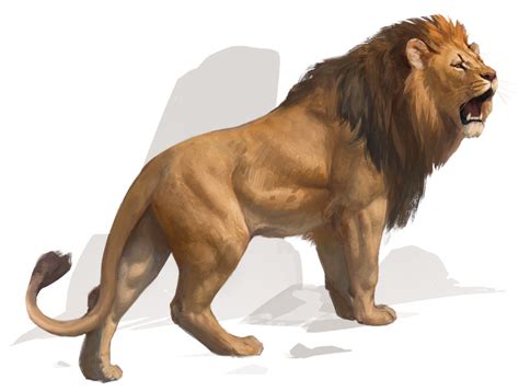 Lion Dnd 5 5 Monsters