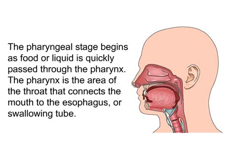 Swallowing Disorders