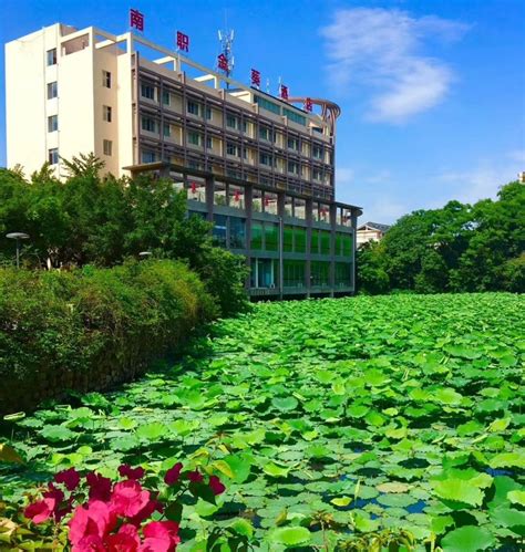 南宁职业技术大学主页