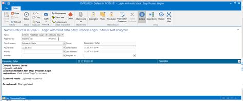 Defect Management Documentation