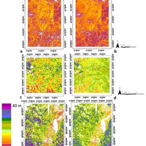 Spatial Distribution Of Vegetation Heterogeneity From Lidar Derived Download Scientific Diagram