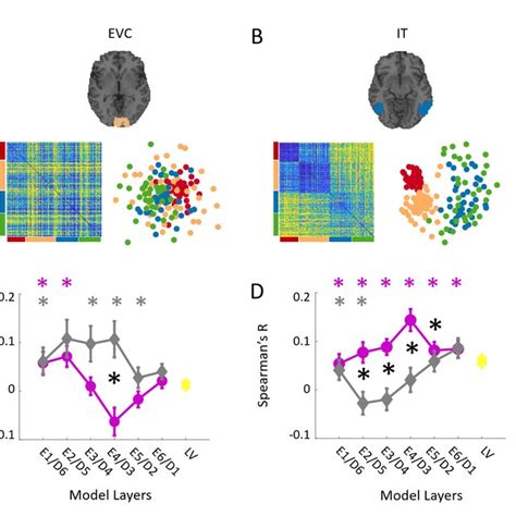 Representational Similarity Analysis To Compare Fmri Meg And Model Download Scientific Diagram