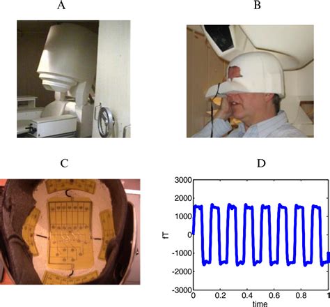 Figure 1 From Neuromagnetic Effects Of Pico Tesla Stimulation