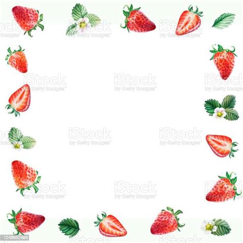 반 베리와 붉은 육즙 딸기의 수채화 프레임 템플릿 손으로 그린 음식 일러스트레이션 과일 인쇄 0명에 대한 스톡 벡터 아트 및 기타 이미지 Istock