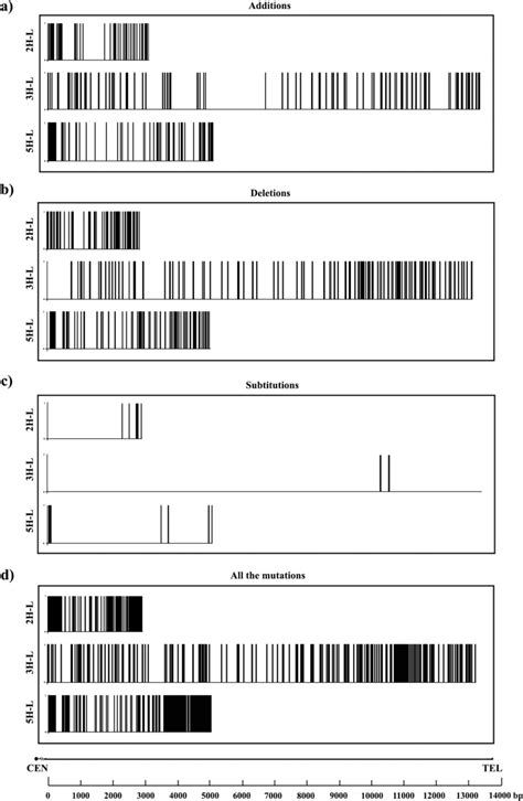 Localization Of The Genes Included In Distal Subtelomeric Region 500