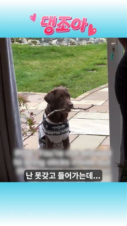 난 막대기 하나 못갖고 드가는데 나무를 통째로 넣어놨어 Youtube