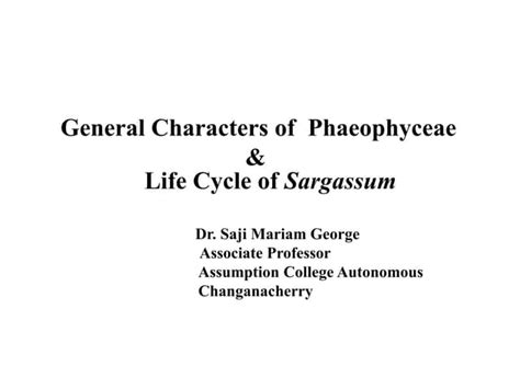 General Characters Of Phaeophyceae And Life Cycle Of Sargassum Smg Pptx