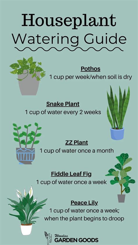 House plants – Artofit