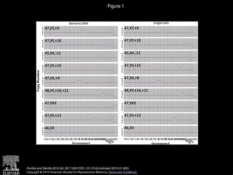 Accurate Single Cell 24 Chromosome Aneuploidy Screening Using Whole
