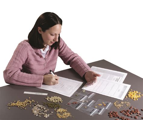 Wards® Constructing A Dichotomous Key Lab Activity Educational