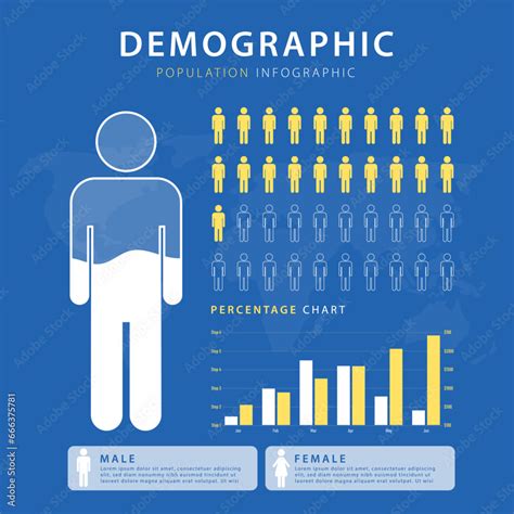 Demographic Analysis Infographic Template Male Female Ratio For Population Visualization Man