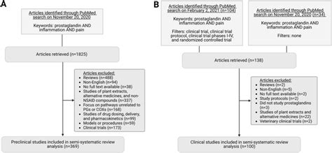 semi systematic review of articles retrieved on pubmed a workflow of