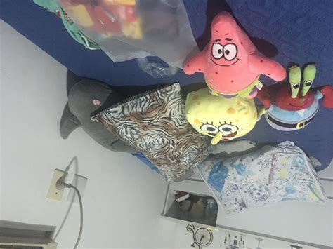 I Finally Got The Spongebob Plushies Fandom