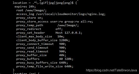 Nginx配置静态文件代理（通过网络地址直接访问服务器资源）nginx浏览静态资源图像链接设置在线浏览 Csdn博客