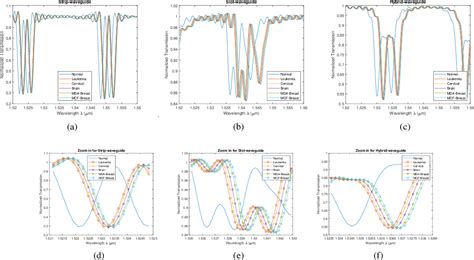 Figure 1 From Proposal Of A Hybrid Optical Double Ring Resonator For Cancer Biosensing