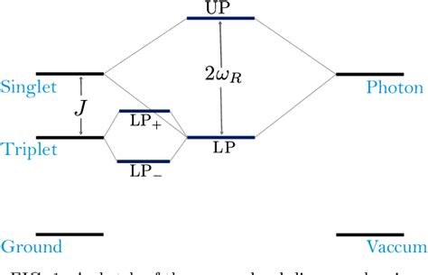 Figure 1 From Spin Orbit Splitting Of Organic Cavity Polaritons And Its