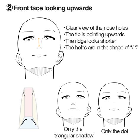 For Beginners This Is Actually A Crucial Part Review The Techniques For Drawing Noses