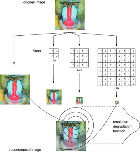 Illustration Of Per Fragment Mipmap Lod Bias Selection Filter Sizes Download Scientific