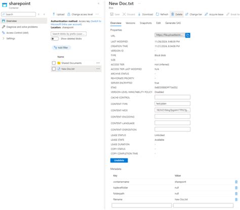Set Azure Storage Blob Metadata Using Python Script