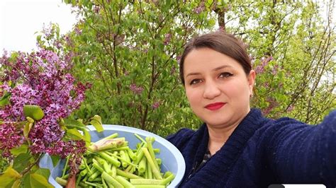 Թթվացու Քաղելու Սեզոնը Բացվեց Весенный урожай Квашенные Травы Фенхель бохи Շամշադին Шамшадин