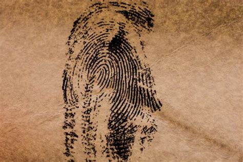 Forensic Pattern Recognition Evidence An Educational Module Center