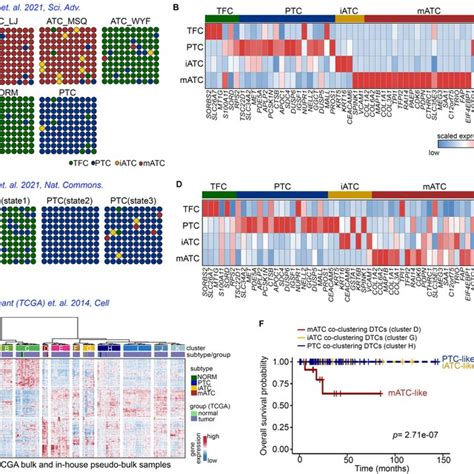 single cell copy number alteration and point mutation during thyroid
